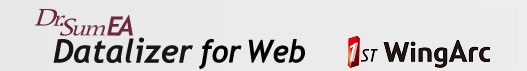 Dr.Sum EA Datalizer